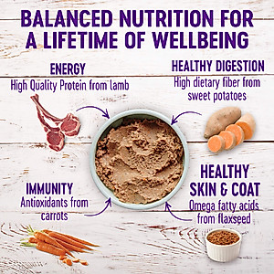 Wellness Complete Health Dry Dog Food, Lamb & Barley, 5 Pound Bag Wet Dog Food, Lamb & Sweet Potato, 12 Cans, 12.5 Ounce Can