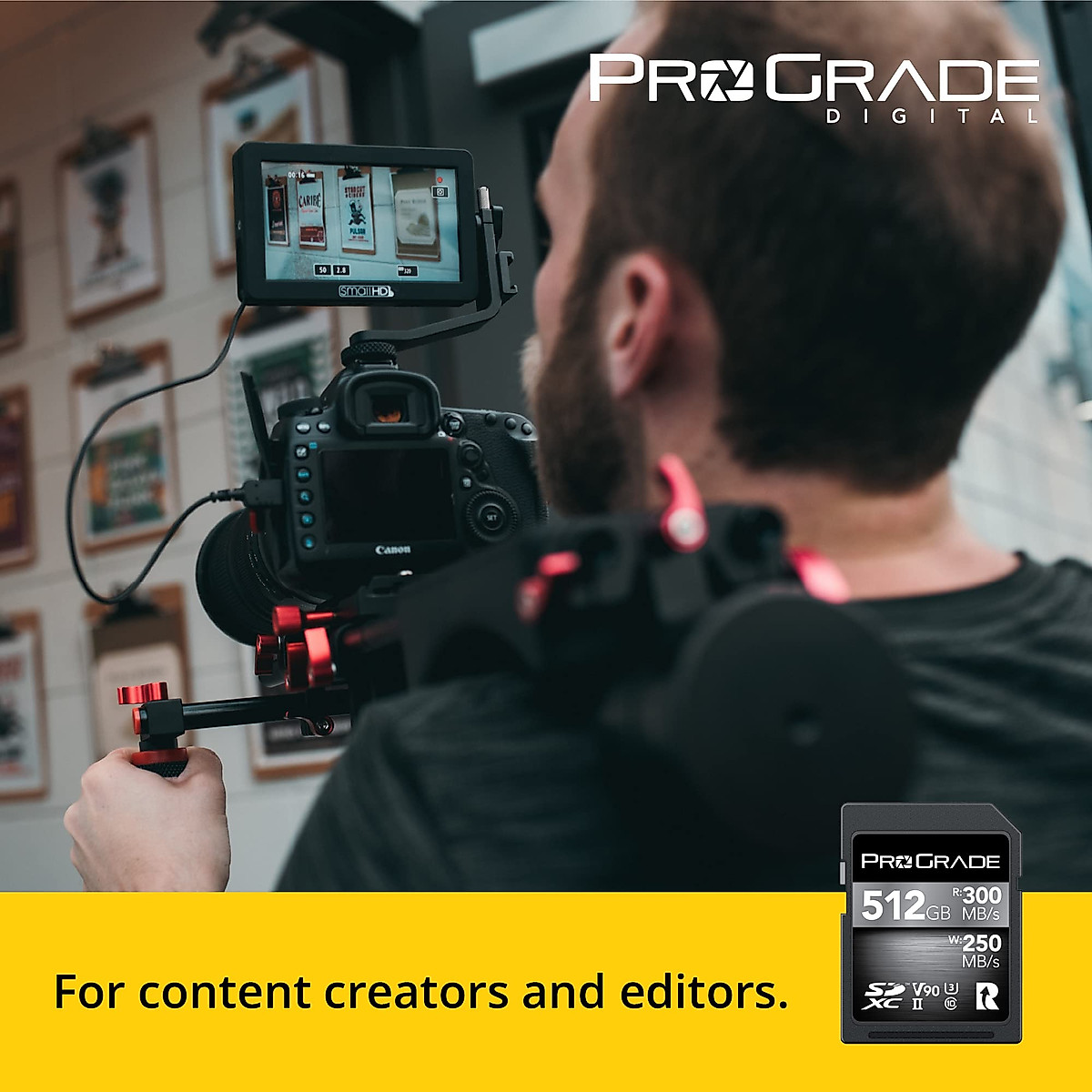 ProGrade Digital SDXC UHS-II V90 300R Memory Card (512GB)