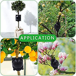 Tanzfrosch 10 Pack Tree Root Growing Box, Rooting Ball Grafting Tools, Reusable High Pressure Tree Rooter Air Layering Propagation Kit Propagator Pot Rooting Device for Trees Flowers