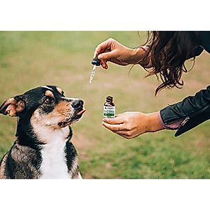 Hemp Oil for Dogs or Cats - 1000mg/1 Oz Calming Drops for Your Dog, Cat, or Pet - Maximum Strength