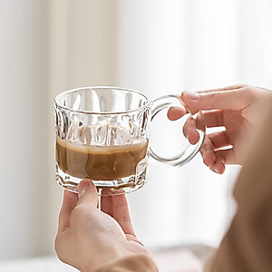 HolaJia Espresso Cups Glass Coffee Mugs 8.4 Oz Set of 2,Clear Embossed Tea Cups,Vintage Glassware with handle,Demitasse Glasses for Cappuccino,Latte,Hot Beverage(Begonia)