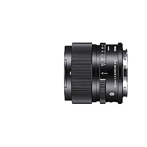 90mm F2.8 DG DN for Sony E