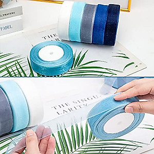 VGOODALL Blue Organza Ribbons, 6 Rolls Tulle Organza Ribbons 300Yd Sheer Chiffon Ribbons for DIY Crafts Gift Wrapping Winter Ocean Frozen Theme Decoration