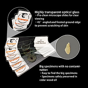 30 Prepared Microscope Slides with Specimens for Kids Students - Insects, for Biological Science Lab, Children's Science Education, Homeschooling Use