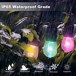 Aveva Outdoor String Lights