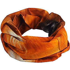 Obacle Animal Half Face Mask Sun Dust Wind Protection Seamless Face Mask for Men Women, Lightweight Thin Neck Gaiter for Outdoor Sports Gifts (Dog with Yellow Hairs)