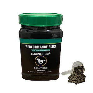 Performance Plus Equine Hemp Supplement 100mg - 32 oz - Official Equine Hemp Product of The PRCA, WPRA, WSTR and RSNC