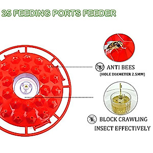 Hummingbird Feeders for Hanging Outdoors Sealed and Leak-Proof Easy to Clean and Fill 20 Feeding Ports for More Hummingbirds Easy to Install on Bird Feeder Pole Deck Patio Garden