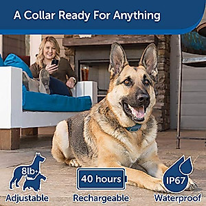 PetSafe SMART DOG Training Collar – Uses Smartphone as Handheld Remote Control – Tone, Vibration, 1-15 Levels of Static Stimulation – Bluetooth Wireless System – All in One Pet Training Solution