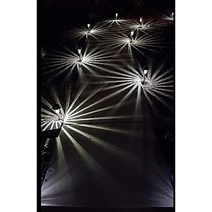 Enchanted Spaces Gray Solar Path Light, Set of 6, with Glass Lens, Metal Ground Stake, and Extra-Bright LED for Garden, Lawn, Patio, Yard, Walkway, Driveway