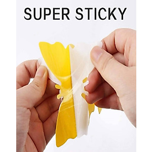Zevo Flying Insect Trap Refill, 2 Count (Pack of 2), Set with (4) pcs of Exclusive Fusion Shop Store Modern Yellow Sticky Fruit Trap (Device is NOT Included)