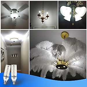 Heifymi E12 100W Led Candelabra Bulbs Replacement, 6000k Daylight Bright White, E12 12W Led Candle Light Bulbs T6 C7 1200lm, E12 Base Chandelier Pendant Ceiling Fan Bulbs, Non-Dimmable, 4Pack