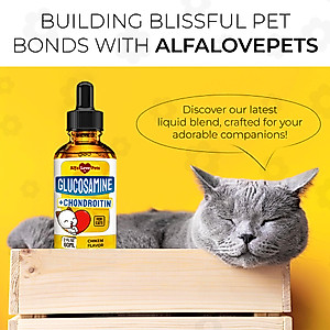 Cat Joint Supplement ✿ Cat Glucosamine ✿ Glucosamine Chondroitin MSM ✿ Joint Supplement for Cats ✿ Glucosamine for Cats ✿ Glucosamine Chondroitin for Cats ✿ Cat Hip and Joint Supplements ✿ 3 Packs