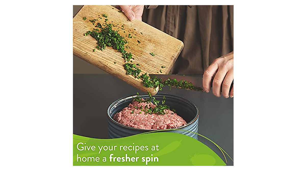 500+ Santo Cilantro Seeds for Planting Indoors or Outdoors - Non-GMO ...