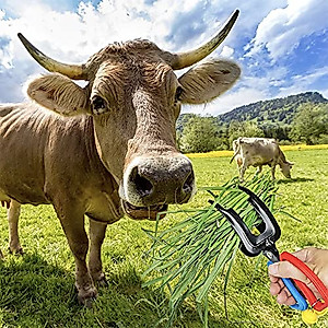LYFOO Hay Filling Grabber Fish Grabber Pet Feeding Sissor Horse Hay Picker Hay Gripper Cow Hay Fork Pet Feeder Fork Rabbit Feeder Goat Food Feeder with Measurement Tape (4-Tine), Black