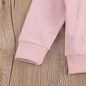Honganda 2Pcs Toddler Baby Girl Plain Solid Sweatshirt Pullover Tops Drawstring Sweatpants Joggers Casual Fall Winter Outfit Set (Pink, 2-3T)