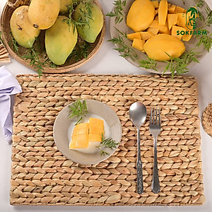 SOKFARM Boho Placemats Set of 8, Rectangle Placemats for Dining Table, Water Hyacinth Wicker Placemats, Straw Placemats Rectangle Woven Placemats Set of 8, Placemats for Dining Table Set of 8, 17x12