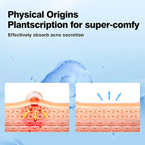 QUSTERE Pimple Patches for Face, Hydrocolloid Acne Patches, Cute Star Zit Covers, Colorful Spot Stickers with Tea Tree, Salicylic Acid & Cica Oil| 3 Sizes (10mm, 12mm & 14mm) |200 Count