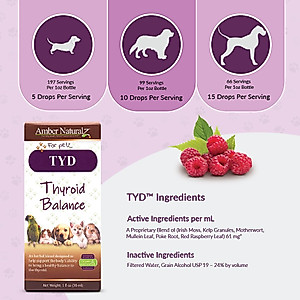 Amber NaturalZ TYD Thyroid Balance Herbal Supplement for Dogs, Cats, Birds, Guinea Pigs, and Rabbits | Herbal Pet Supplement for Thyroid Health | 1 Fluid Ounce Glass Bottle | Manufactured in The USA