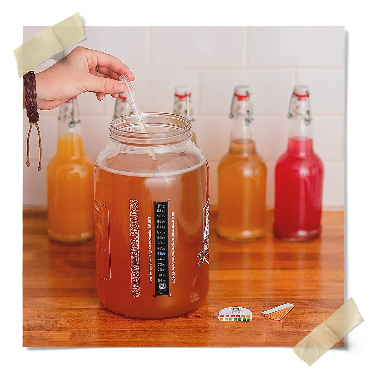 Fermentaholics ORGANIC Kombucha SCOBY With Twelve Ounces of Starter Tea - Live Starter Culture - Makes A One Gallon Batch - 1.5 Cups of Strong Mature Starter Tea - Brew Your Own Kombucha