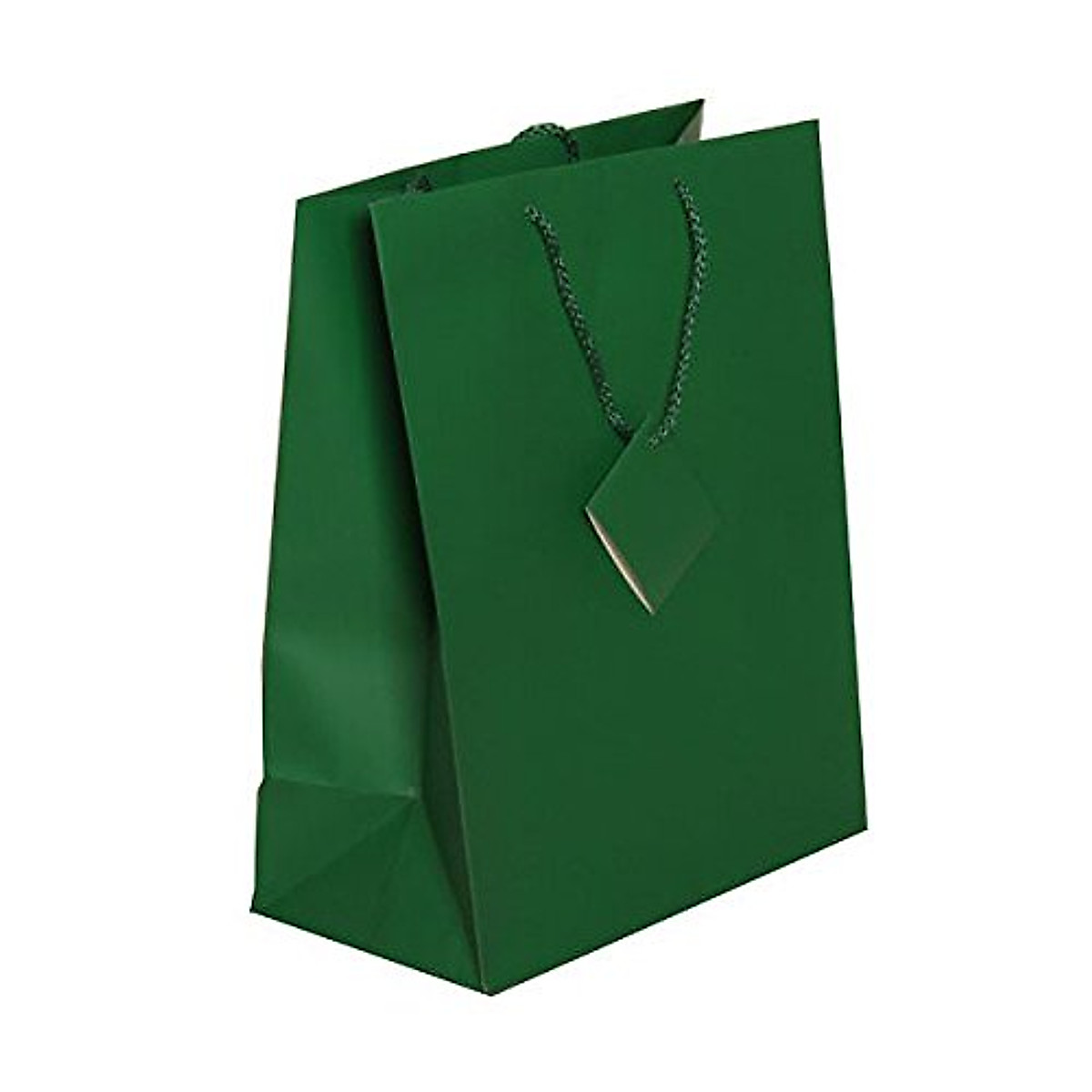 JAM PAPER Gift Bags with Rope Handles - Large - 10 x 13 x 5 - Green Matte - 3/Pack
