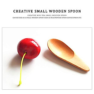 5 Pieces Mini Wooden Spoons, Small Salt Spoon with Short Handle Mini Wood Scoop for Spice Jars Tea Coffee Milk Powder, Natural Color