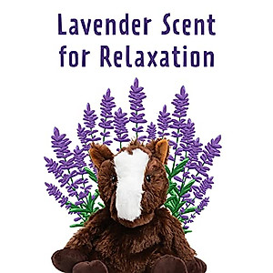 1i4 Group Warm Pals Microwavable Lavender Scented Plush Toy Weighted Stuffed Animal - Harry Horse