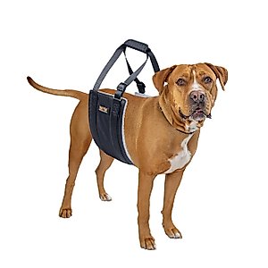 Mighty Paw Dog Lift Harness - 0-20 lbs Dog Hip and Hind Leg Support Sling - Comfortable Assistance for Elderly or Injured Dogs with Hip and ACL Brace - Back Support Harness Carrying Sling - Small