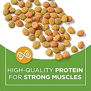 Cat Chow Purina Indoor Cat Chow Cat Food, 18 Oz