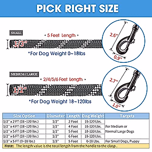BAAPET 2/4/5/6 FT Dog Leash with Comfortable Padded Handle and Highly Reflective Threads for Small Medium and Large Dogs (5FT-1/2'', Black)