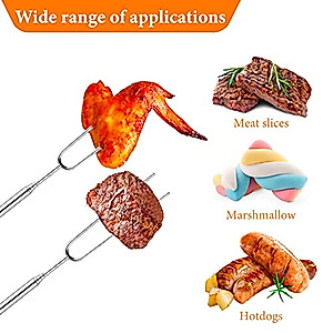 Lituford 32 Inch Long Marshmallow Roasting Stick Campfire Smores Kit for Fire Pit Marshmallow Smores Sticks,Barbecue Forks Extendable Telescoping for Grilling Set(10pcs)