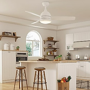 warmiplanet Ceiling Fan with Lights Remote Control, 48-Inch, White, Silent Motor, 3-Blades