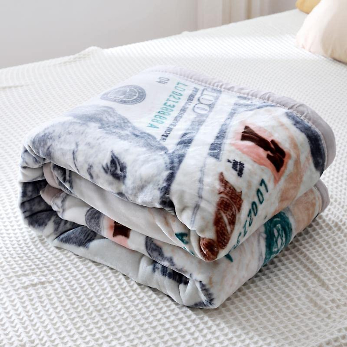 USA 100 Dollar Blanket, Traveling, Hiking, Camping, Full Queen, TV, Cabin, Couch, Bed Throw. 75" Wx90 H 3.5LBS, Reversable, Fuzzy Mink Cozy Warm Home Fashion