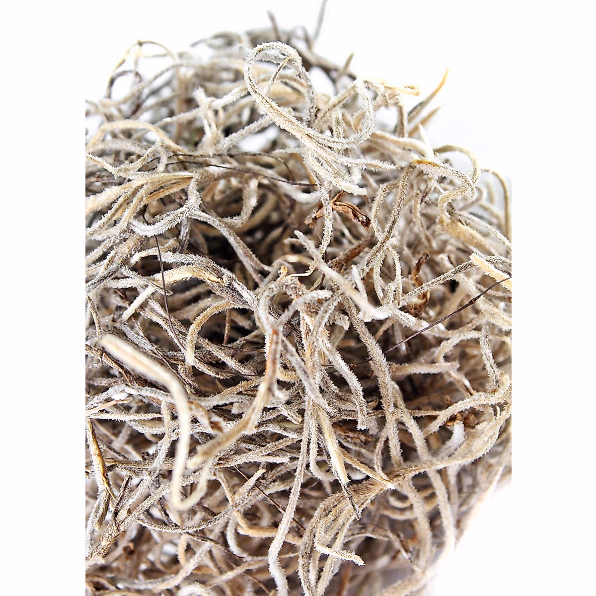 SuperMoss (26926) Spanish Moss Dried, Natural, 3 Pounds