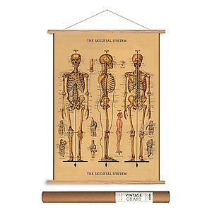 Cavallini Papers Vintage Style Decorative Poster & Hanger Kit 20 x 28, 20" x 28"