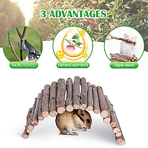 Small Animal Activity Toy Hamster Houses Hideouts Wooden Rat Playground Platform with Ladders Bridge for Chinchilla, Guinea Pigs, Gerbil, Parrots, Dwarf Mice,and Other Small Animals（Without bark）