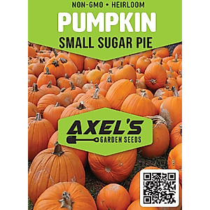 Small Sugar Pumpkin Seeds for Planting - Non-GMO Heirloom Packet with Instructions to Plant a Home Vegetable Garden - Great Gardening Gift - 25 Seeds Per Pack (1 Packet)