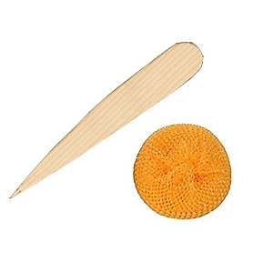 Shriya 12 Pits Appam Maker With Lid Wooden Stick And Nylon Scrubber, Appam Patra Paniyaram Nonstick Cookware Gunta Ponganalu, Small Idli, Paddu Maker, Appa Kara Wooden Stick And Nylon Scrubber