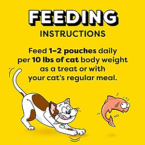 Temptations Creamy Puree with Salmon Lickable, Squeezable Cat Treats, 0.42oz Pouches, 4 Count (Pack of 11)