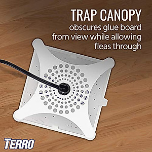 TERRO T230 Indoor Electric Flea Light Refillable Flea Trap and Killer