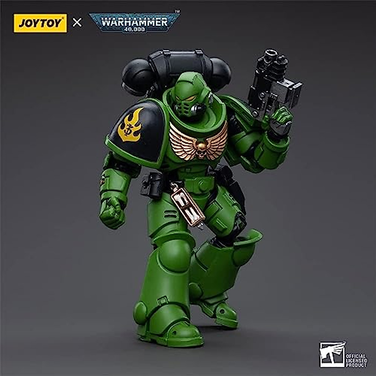 HiPlay JoyToy Warhammer 40K Salamanders Intercessors Brother Haecule 1:18 Scale Collectible Action Figure