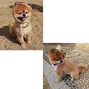 9 Pieces Funny Dog Cat Costume,Puppy Hat,Straw Hat for Cat,Color Changing Glasses for Cat,Dog Scarf,Artificial Gold Necklace for Small Dog and Cat