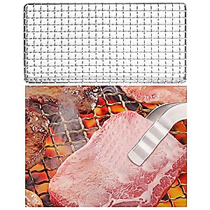 DZRZVD-The Bushcraft Backpacker's Grill Grate - Welded Stainless Steel Mesh (Camping Fire Rated)-5.9"X11.8"