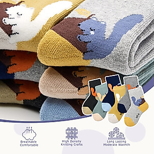 Qterdiz Big Boys Winter Socks Kids Warm Socks Thick Cartoon Thermal Crew Socks for Boys Squirrels 6 Pack 10-12 Years