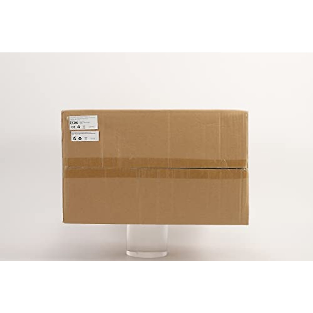 CGOLDENWALL 300g High-Speed Electric Grain Grinder Mill Stainless Steel for Commercial Spice Grinder Pulverizer for Dried Cereals Grains Spices Herbs 110V Gift for Mom/Wife