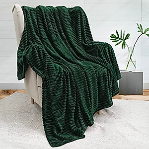 PAVILIA Cozy Fleece Blanket Throw | Fuzzy, Super Soft, Plush, Luxury Flannel Throw | Warm Ribbed Microfiber Blanket for Sofa Couch Bed (Emerald Green, 50x60 inches)