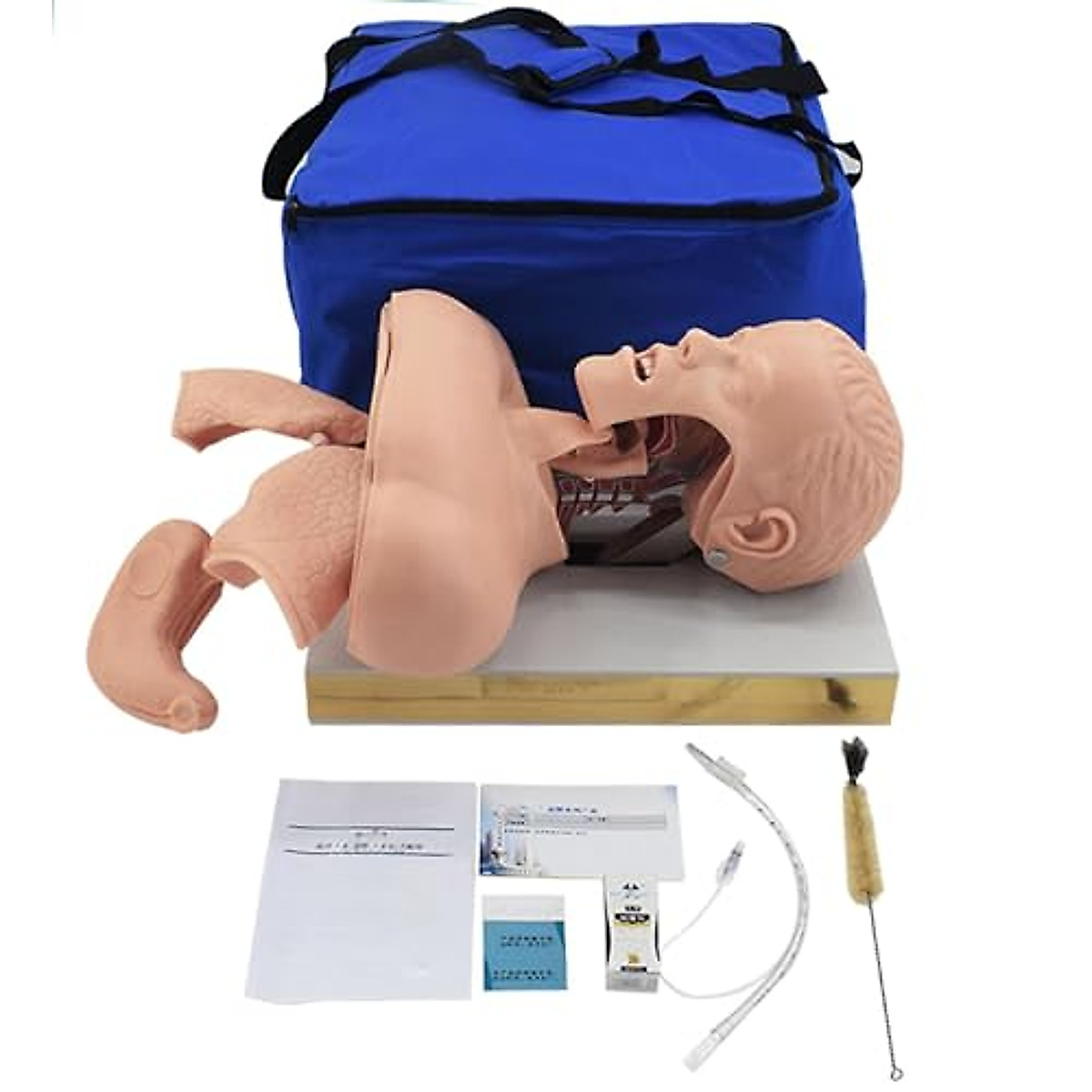 Oral Nasal Intubation Manikin, Advanced Human Tracheal Intubation Training Model Airway Management Practice Mold Teaching Instrument Demonstration Anatomical Structure