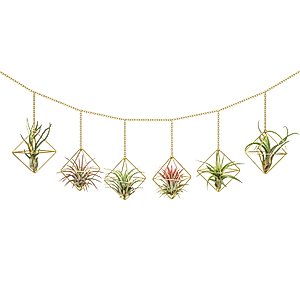 Dahey Gold Geometric Hanging Air Plant Holders - Set of 6 Square Metal Planters with Chains for Indoor Wall Decor
