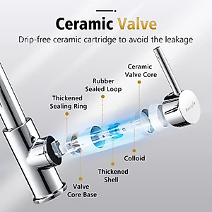 Totopia Pull Down Kitchen Faucet, Stainless Steel Kitchen Sink Faucet with Sprayer, 2-spout, Single-Handle Control, High Arc Spring Design, Easy Installation,Brushed Nickel