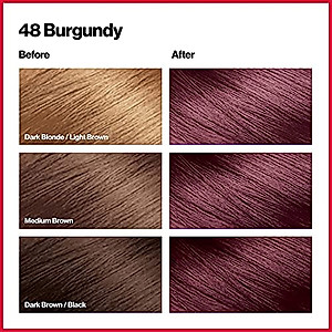 Revlon Colorsilk #48 Burgundy